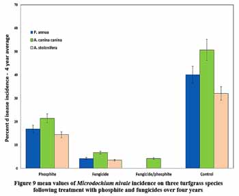 How to control golf course disease – The Golf Business