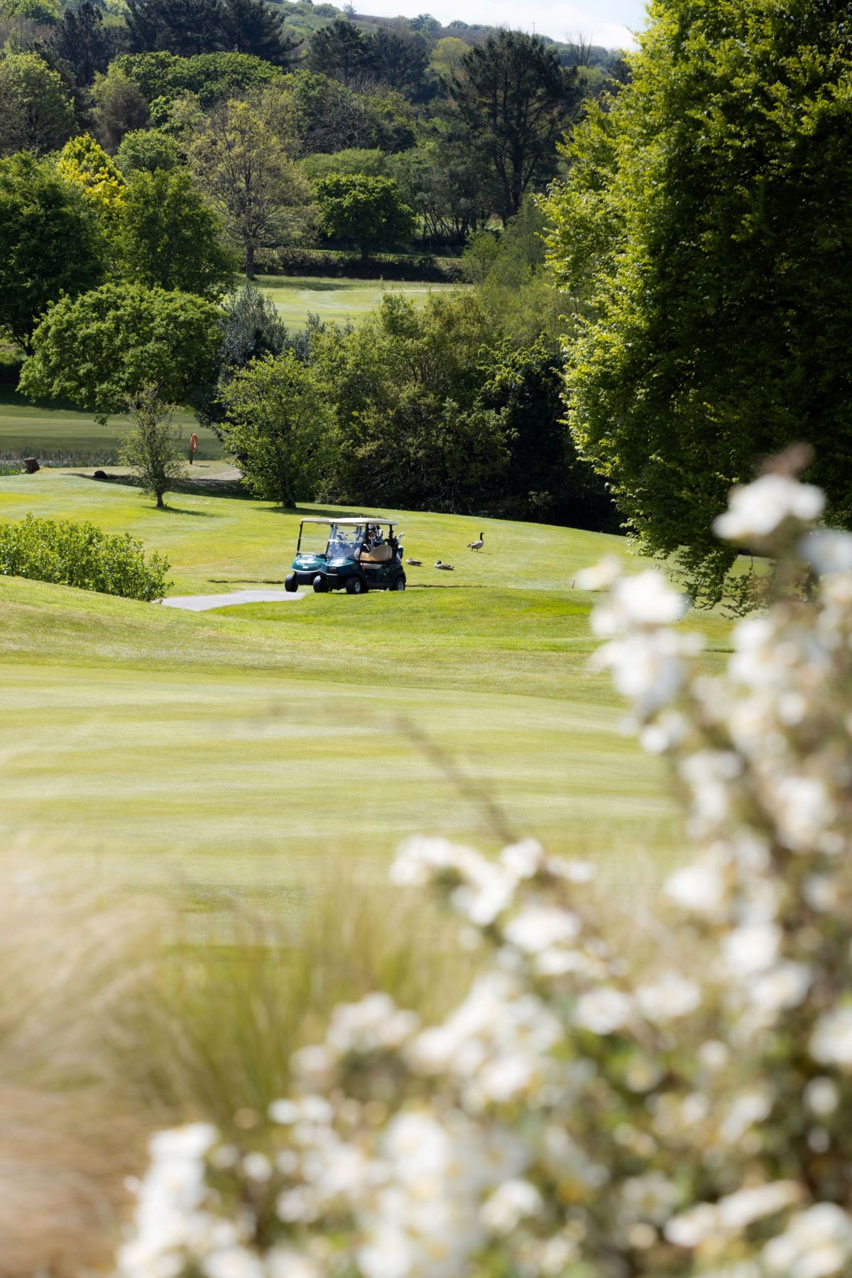 New website for Lanhydrock – The Golf Business