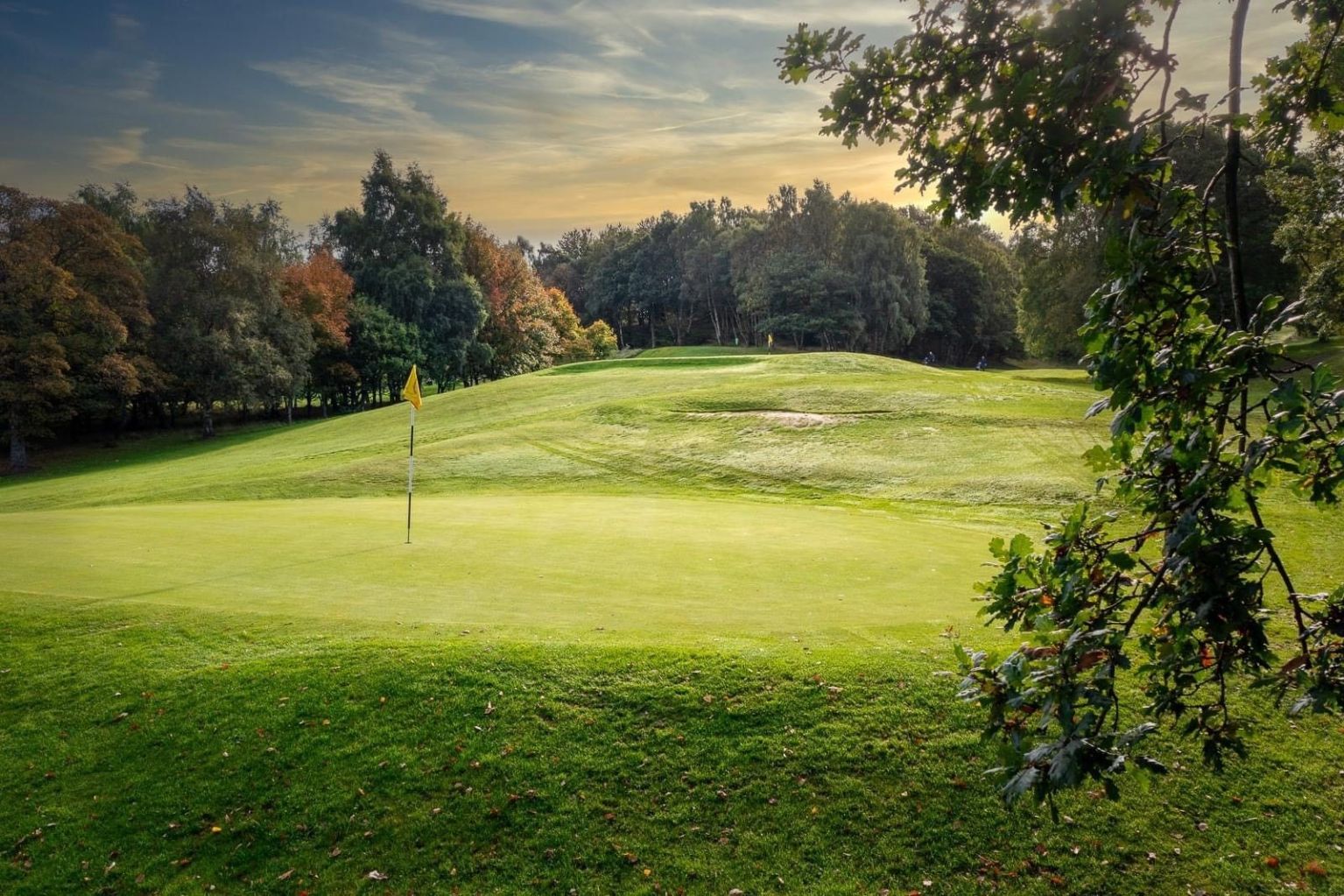 Beamish Park Golf Club lands £400k to upgrade infrastructure and boost ...